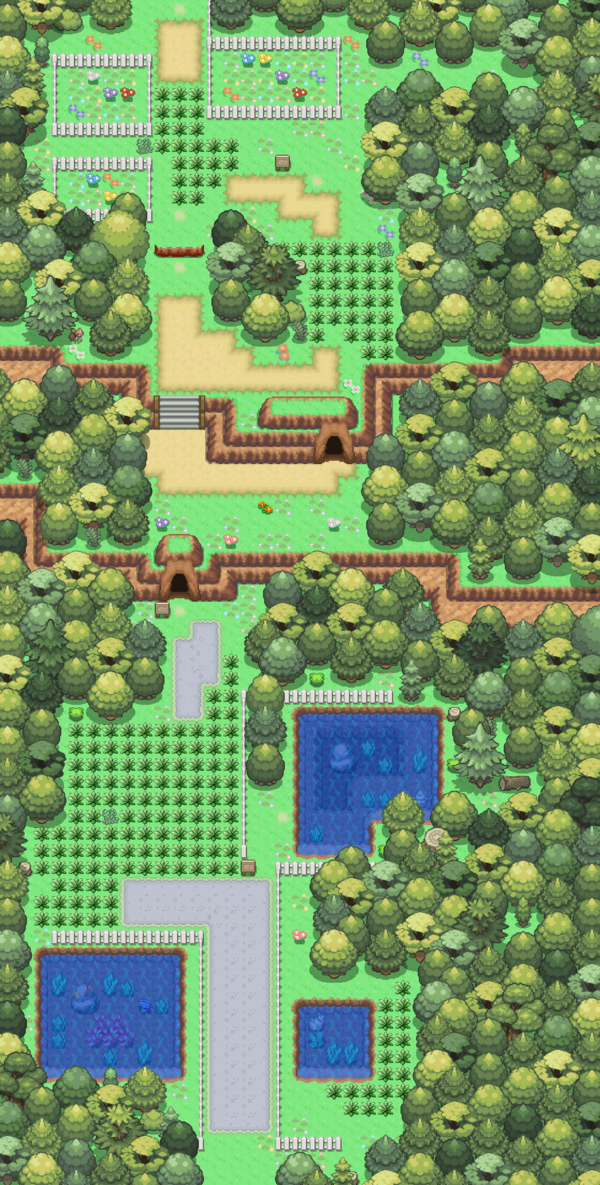 Route 204 - Pokemon Revolution Online Wiki