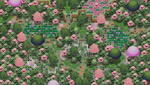 Pinkan Island Woodlands - Pokemon Revolution Online Wiki