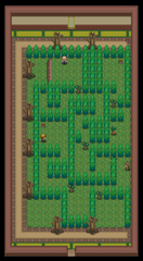 Trick House - Pokemon Revolution Online Wiki