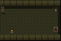 Ruins of Alph - Pokemon Revolution Online Wiki